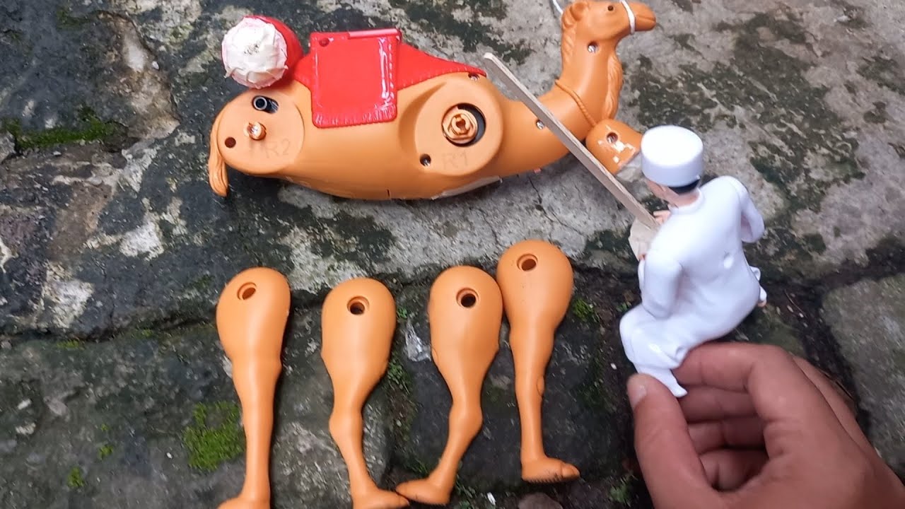 SIMULASI QURBAN,POTONG HEWAN UNTA KURBAN,UNTA NYA NGAMUK - YouTube