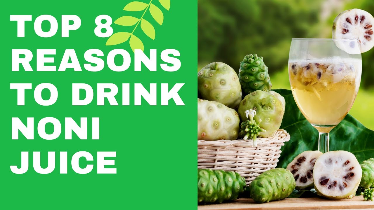 Health Benefits Of Drinking Noni Tea at Wilma Scanlon blog