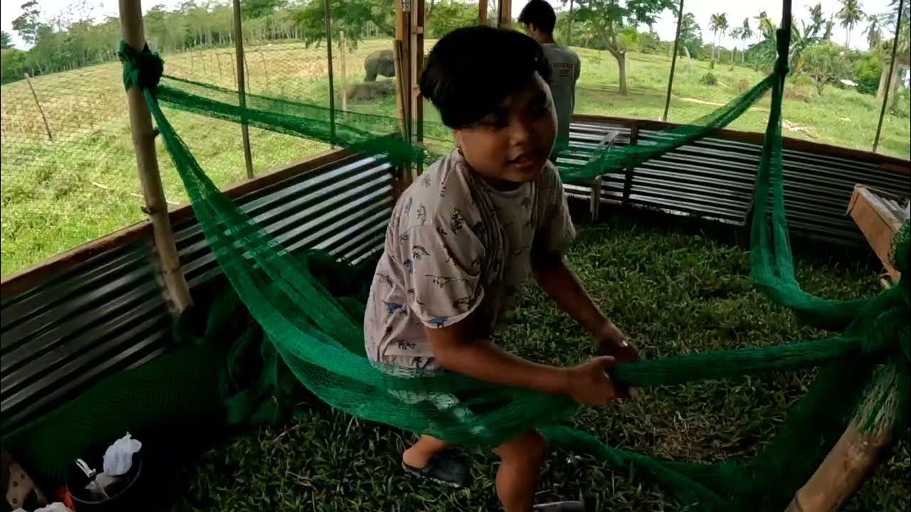 NAG LATAG KAMI NG NET PARA SA BAKOD - YouTube