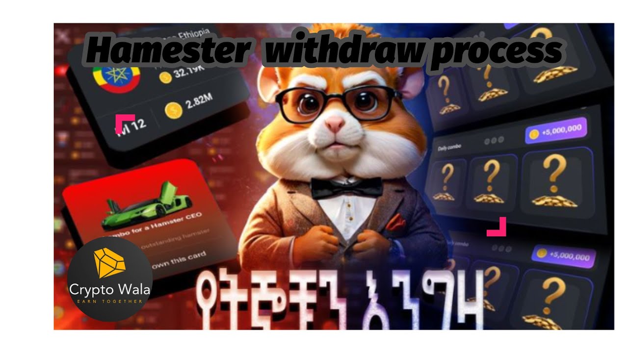 Hamster Kombat Withdrawal || Hamster Kombat Withdrawal Process - YouTube