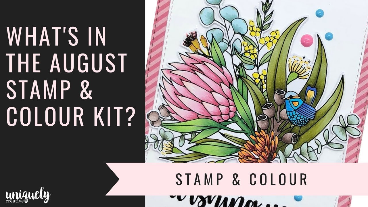 What's in the August Stamp & Colour Kit? - YouTube