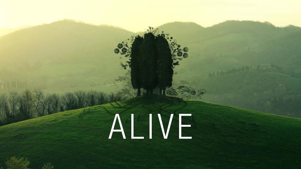 ALIVE (Concert Paște 2017) - YouTube