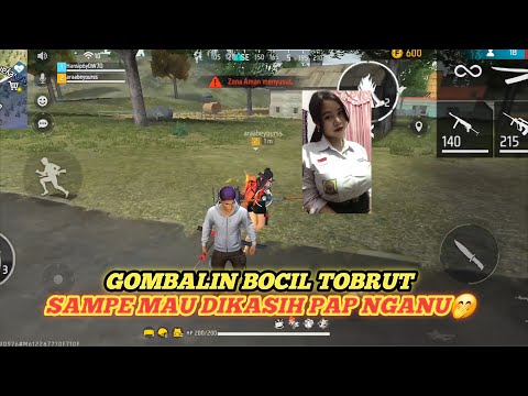 GOMBALIN BOCIL TOBRUT SAMPE MAU DI KASIH PAP NGANU