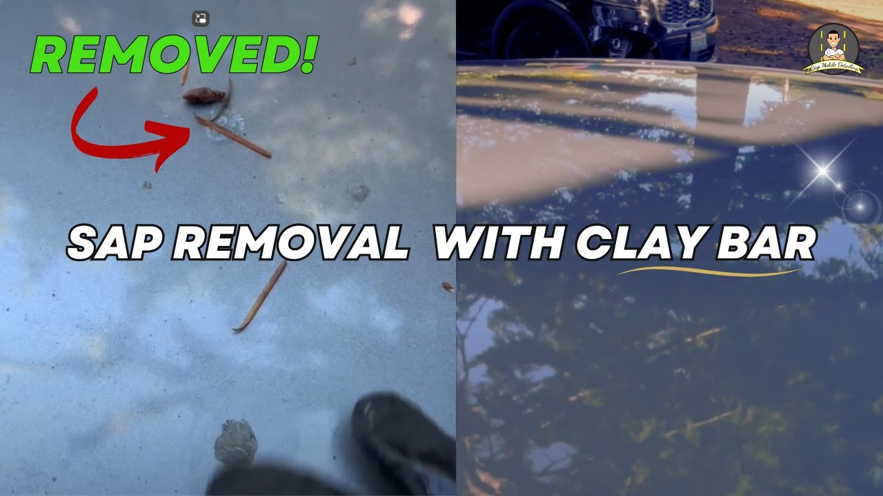 Satisfying SAP Removal with Clay Bar [Big's Mobile Detailing Seattle ...