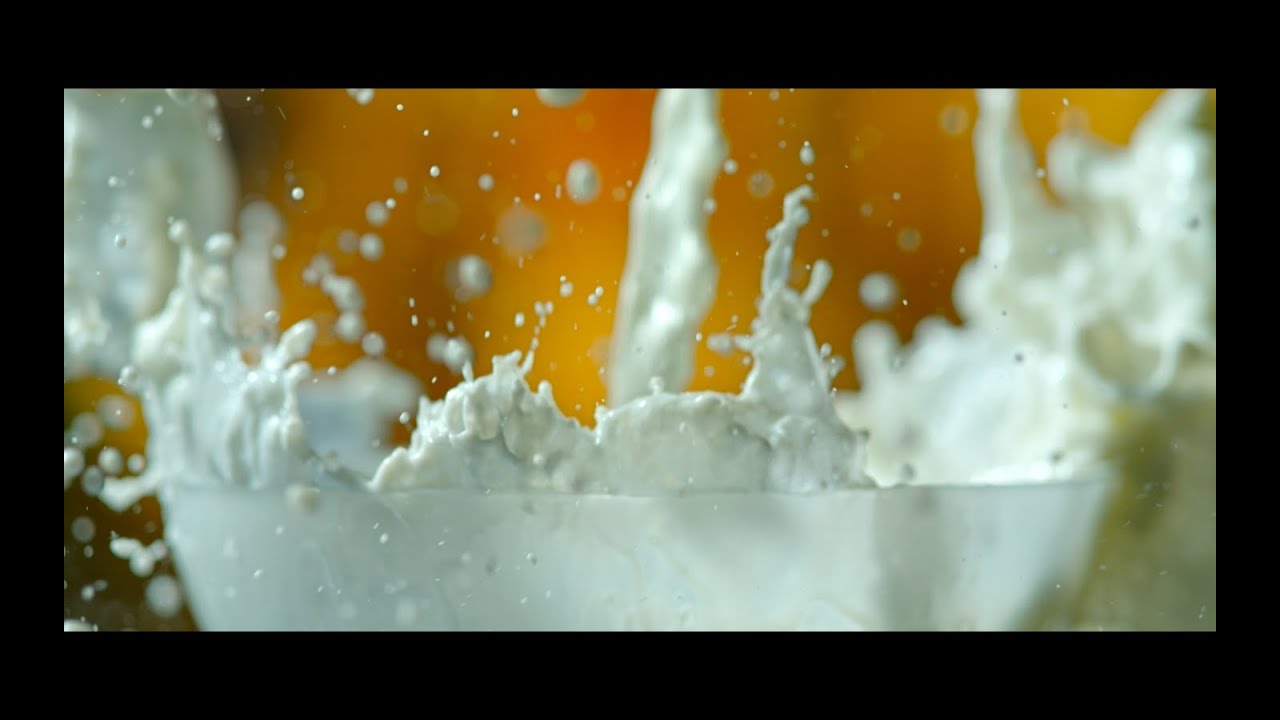 PDDP MILK VERSION 02 - YouTube