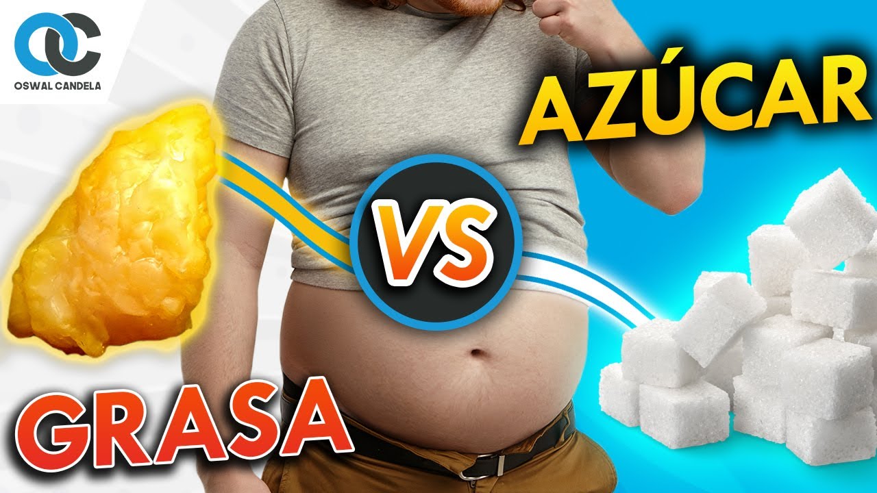 ¿Qué engorda más? ¿Azúcar o la grasa? ¡La respuesta te sorprenderá ...