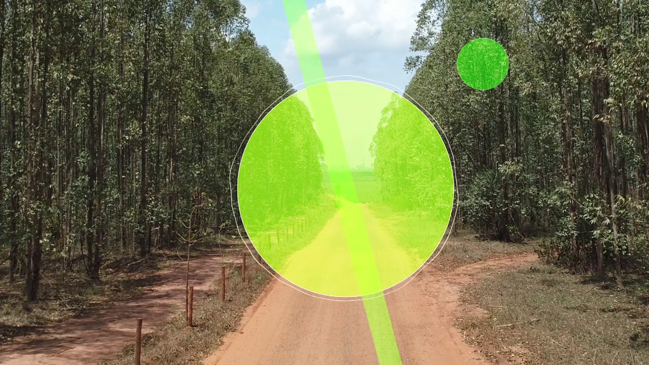 Imagine a future of bio-possibilities - YouTube