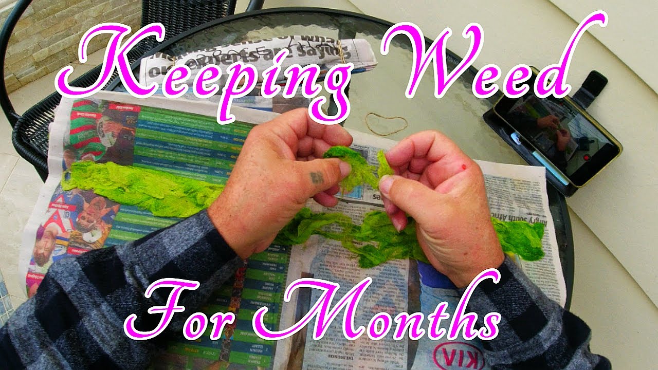 Keeping Luderick Weed. - YouTube