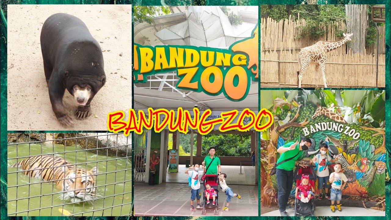 BANDUNG ZOO || Bandung Zoological Garden atau Kebun Binatang Bandung ...