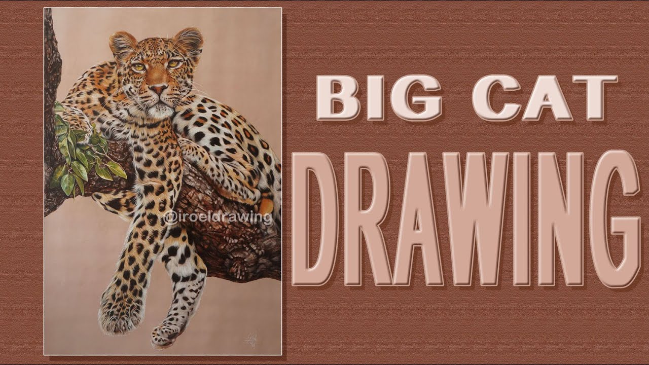 BIG CAT DRAWING (the PROCESS) - YouTube