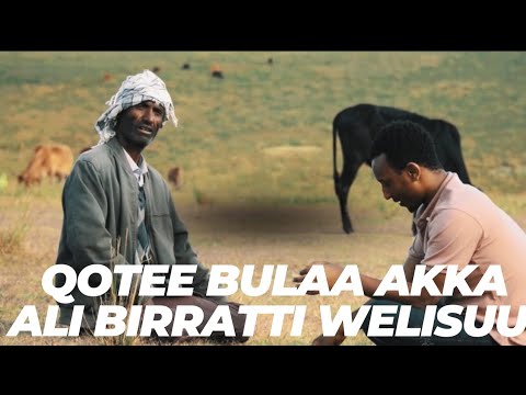 Qotee Bulaa Akka Dr/Ali Birrattii Weelisu - YouTube
