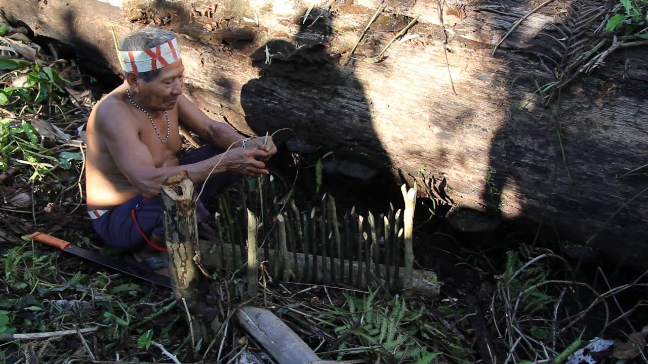 Matsés: press type rat trap - YouTube