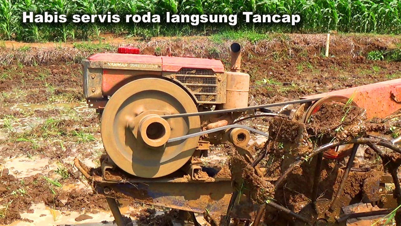 Traktor Sawah Menggunakan Diesel Yanmar, Habis Servis Roda Langsung ...