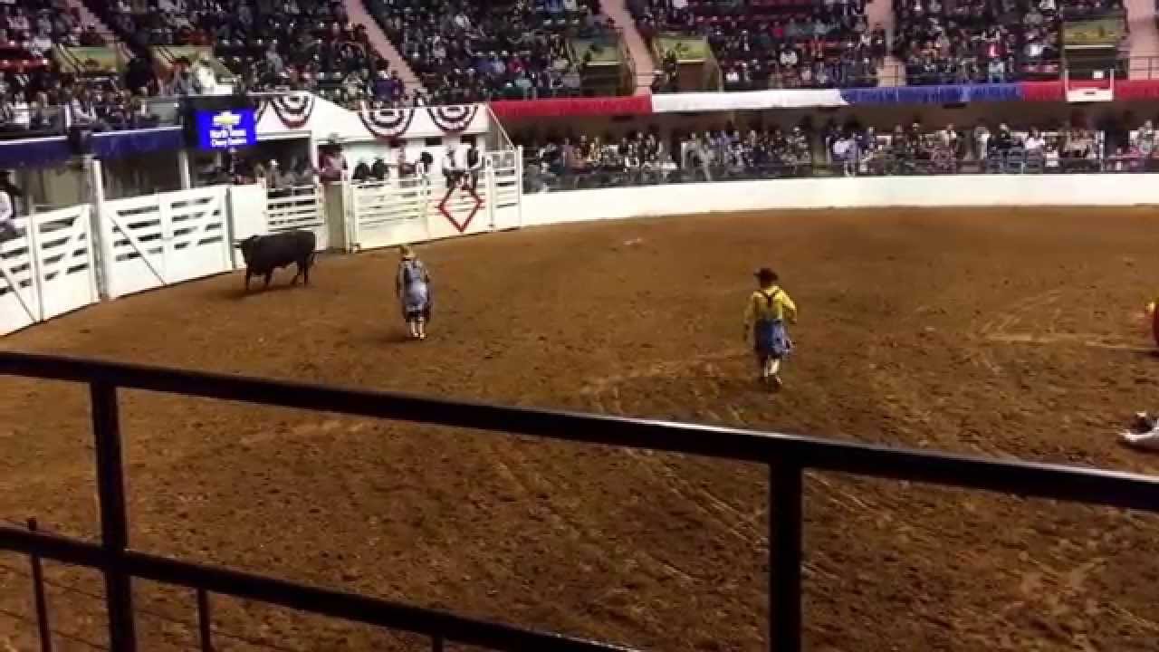 Fort Worth Rodeo - Bull Fight 1/30/2015 - YouTube
