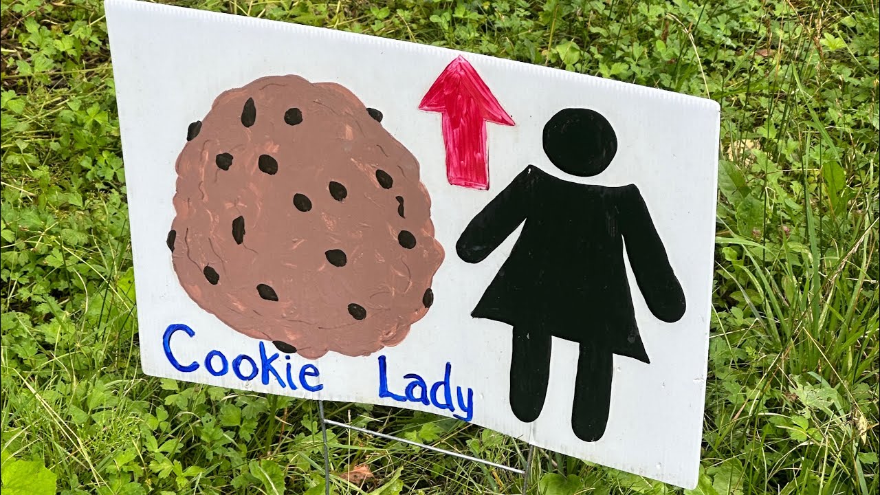 AT NOBO 2024 - Upper Goose Pond Cabin tent site (mi. 1555.7) to Tom ...