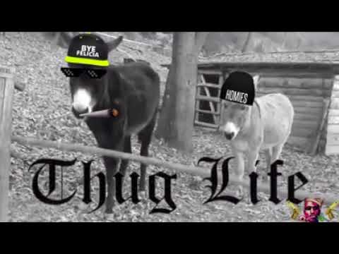 KAMERALARA YAKALANAN İLGİNÇ GÖRÜNTÜLER