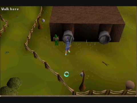 Gnome Stronghold Agility Course - YouTube