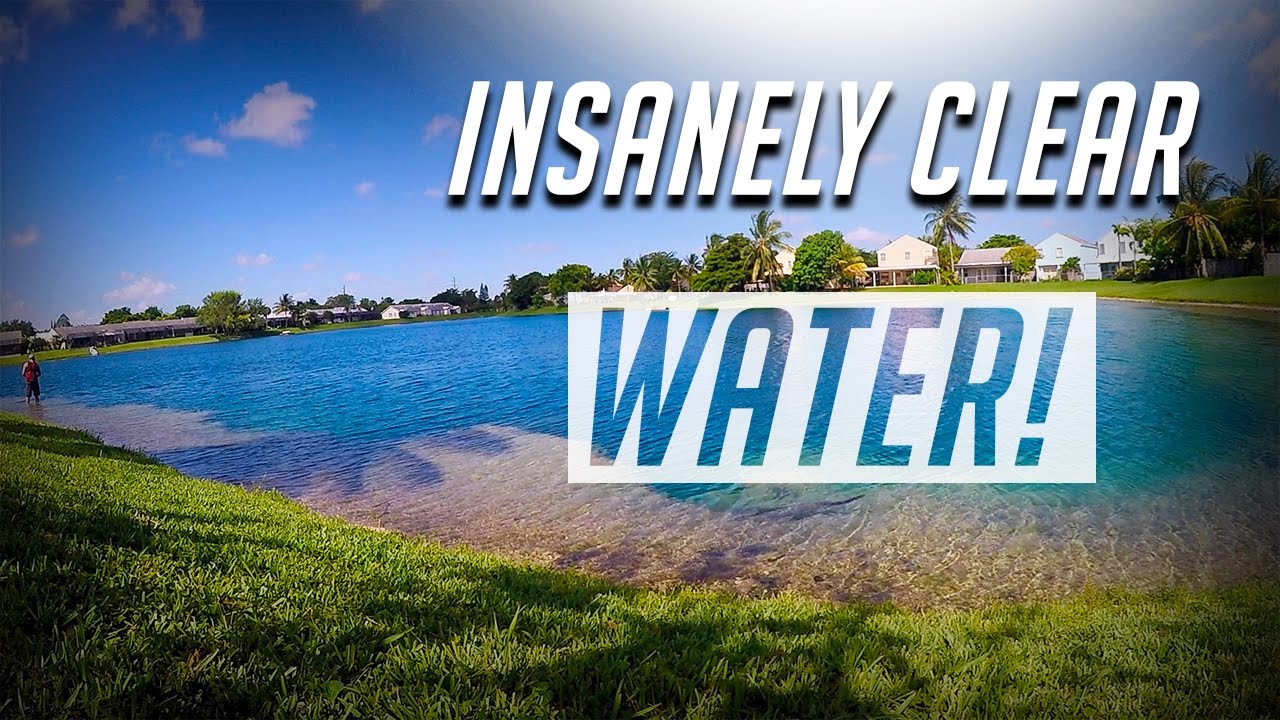 Sight Fishing Peacock Bass Ultra Clear Water EPIC Footage - YouTube