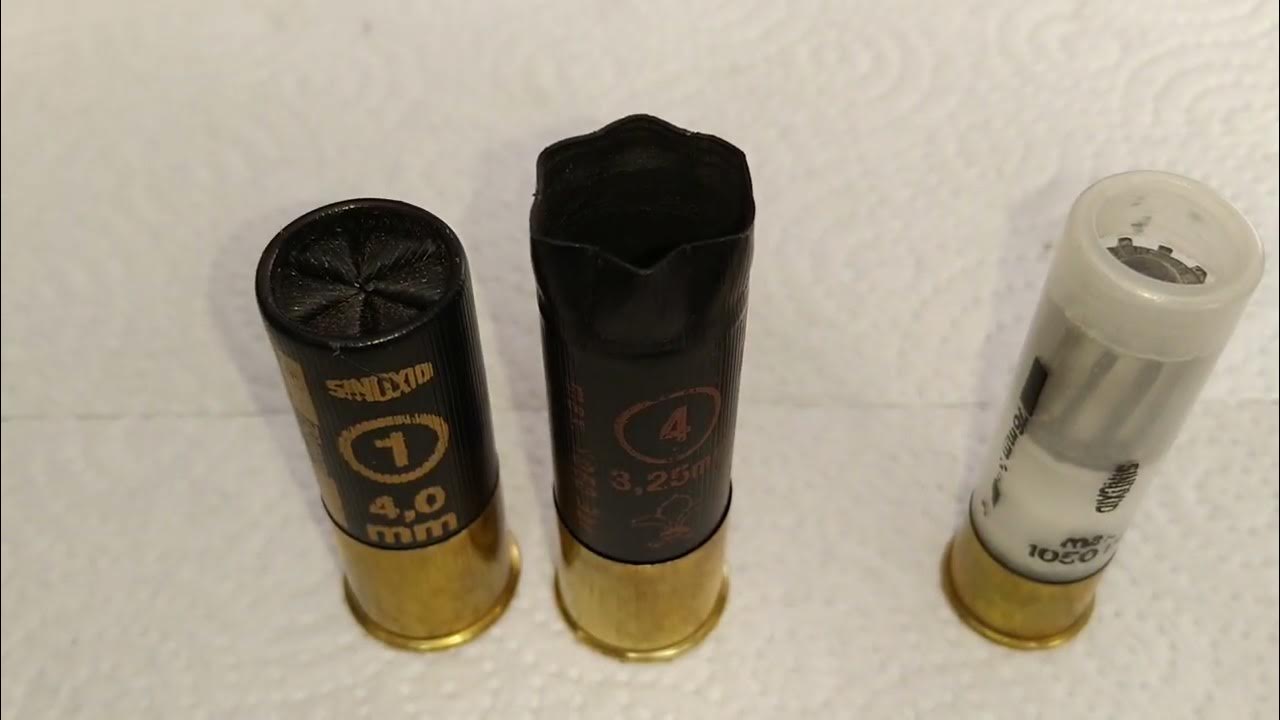 Jagdmunition: Schrotpatronen und Flintenlaufgeschosse - YouTube
