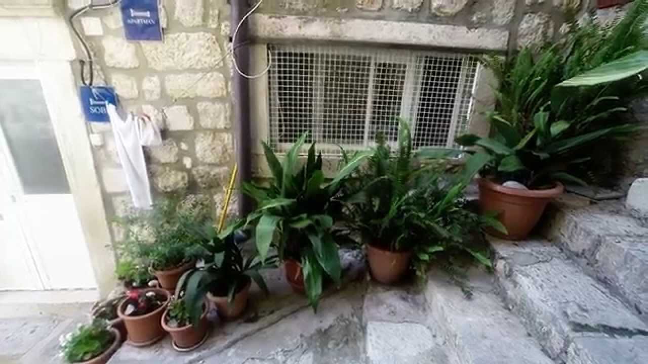 Patches & Flash in Dubrovnik - YouTube