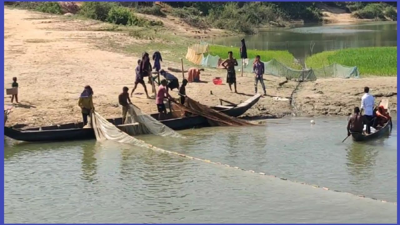 Big Net Fishing | Traditional Big Net Fishing in River | Catching fish ...