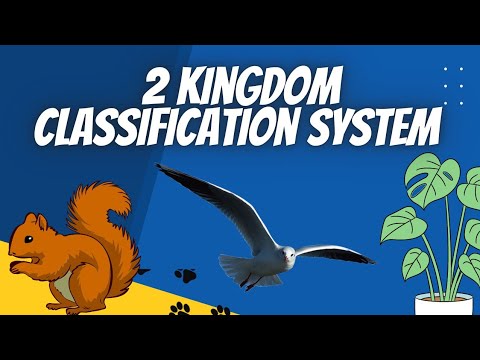 two kingdom classification system - YouTube