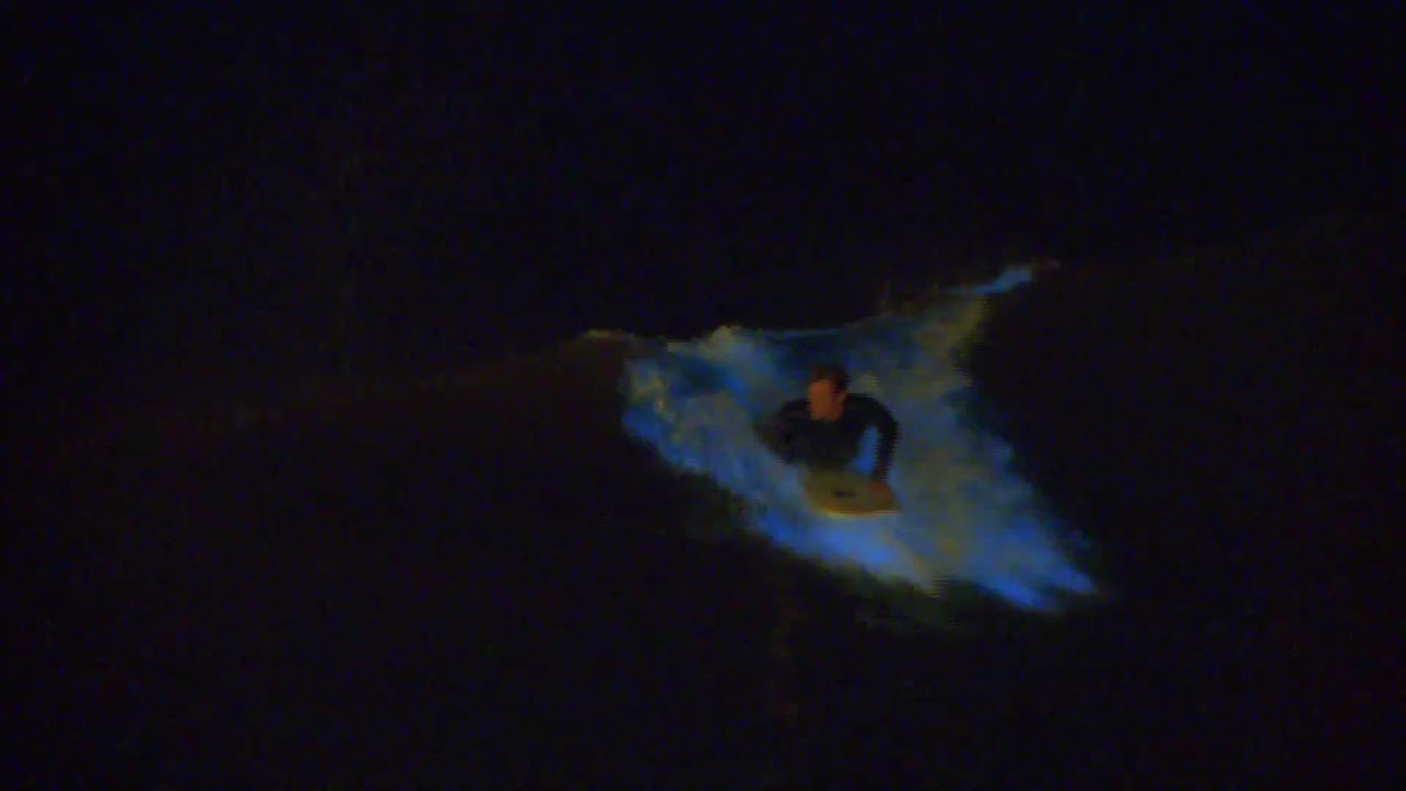 Surfing the Red Tide in San Diego - Bioluminescence - YouTube