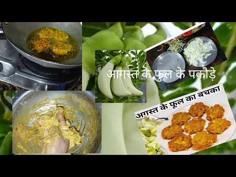स्वादिष्ट और हैल्थी अगस्त के फूल का बचका | August ke Phool ke Pakode ...