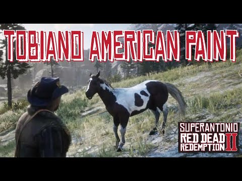 Tobiano American Paint Wild Horse and Card Location in Red Dead ...