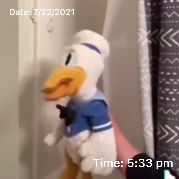 How Did Donald Duck Gets Spotted Youtube