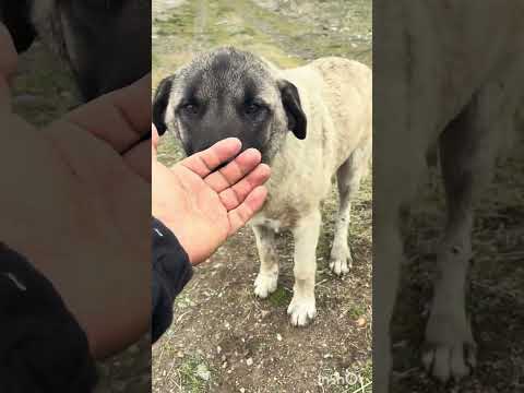 Ne kadar dil dökmüşsün de olmadı 😘