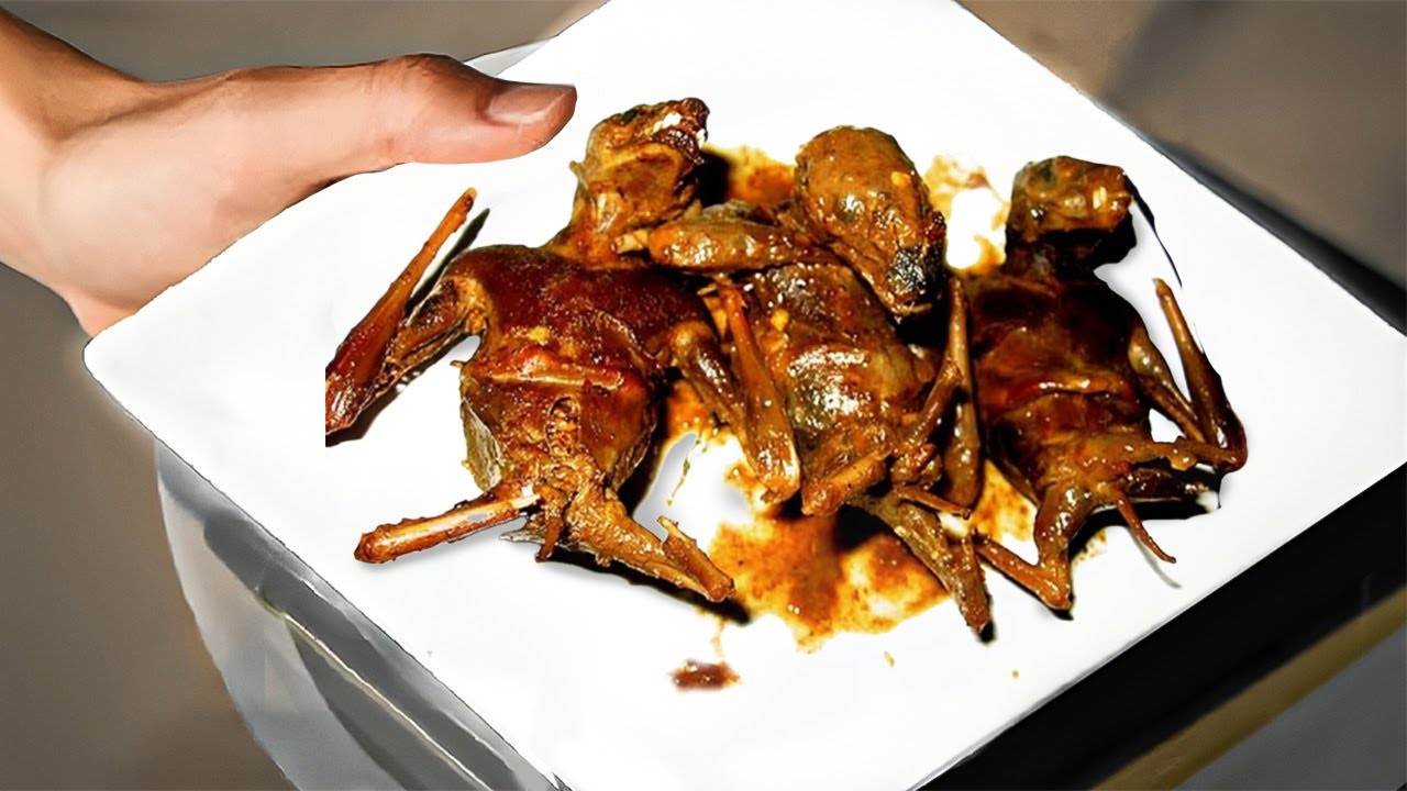 Moments When Chefs Served DISGUSTING FOOD On MasterChef - YouTube