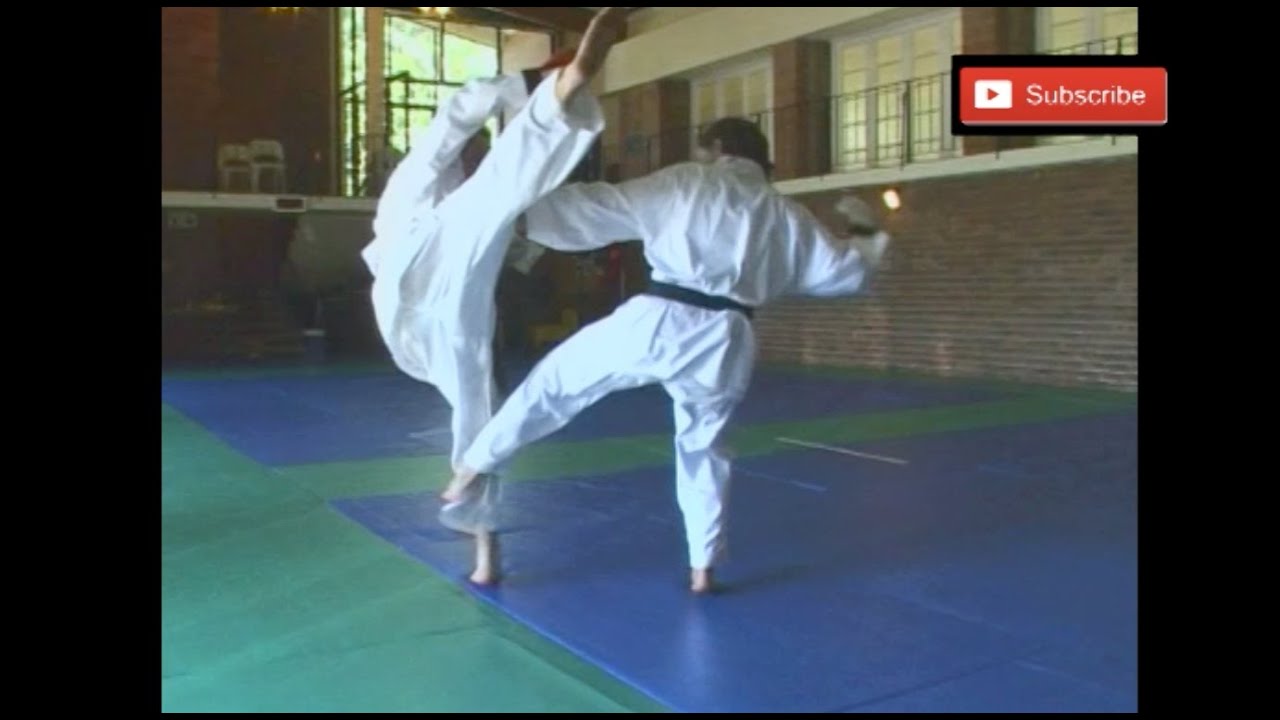 Karin Prinsloo – Kumite Techniques – Defending Against Kicks - YouTube