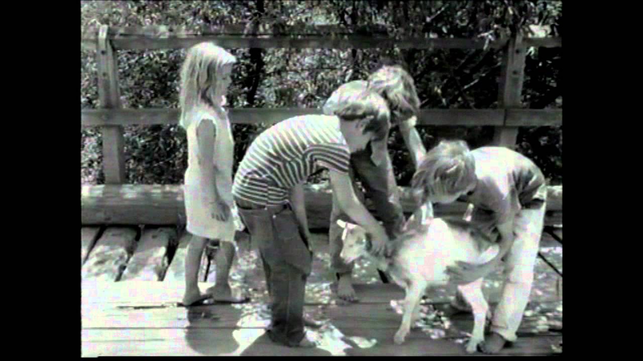 Memoirs of a Young Bastard: The Diaries of Tim Burstall, November 1953 ...