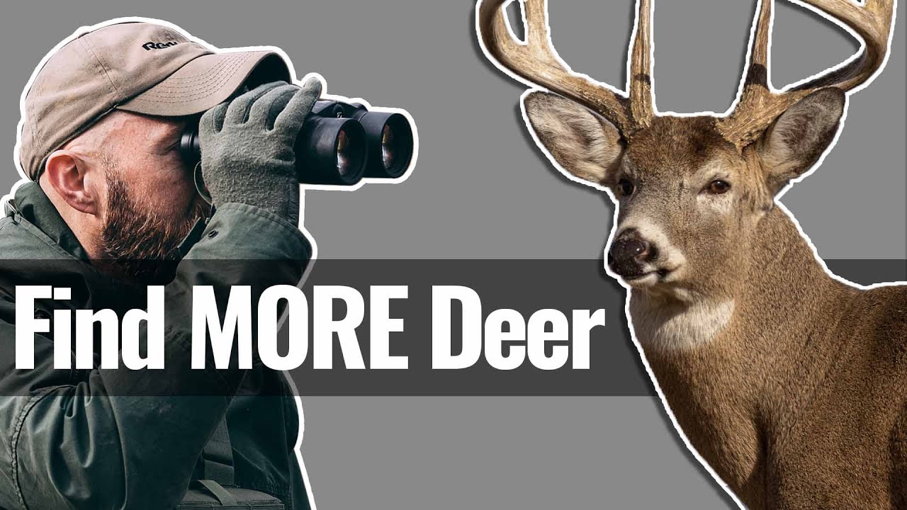 7 Hunting Tips - Find MORE Deer (FASTER) #hunting - YouTube