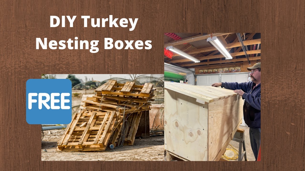 Domestic Turkey Nesting Boxes