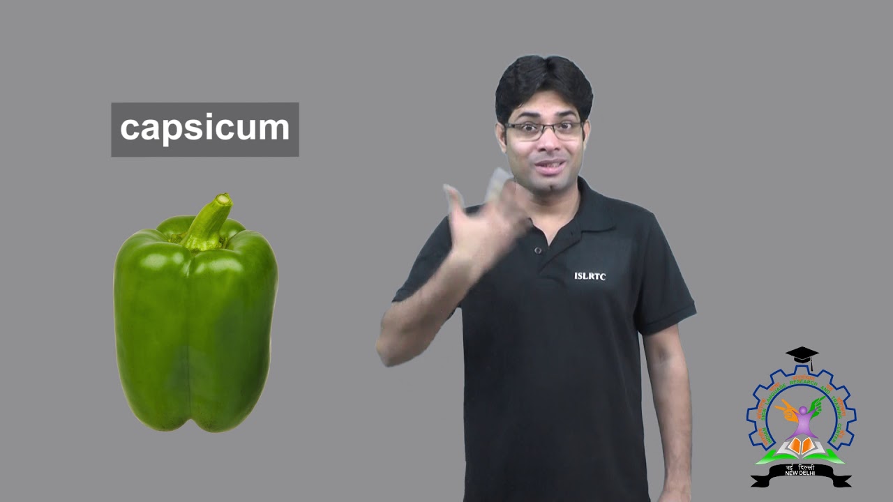 capsicum (sign 1) - YouTube