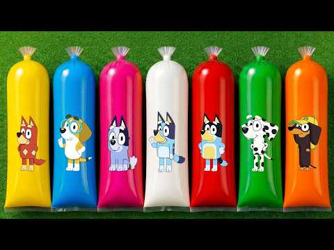 FINDING: Bluey, Bingo, Bandit, Chilli, Chloe, Coco, Honey, Indy, Muffin, Indy, Rusty, Socks figur...