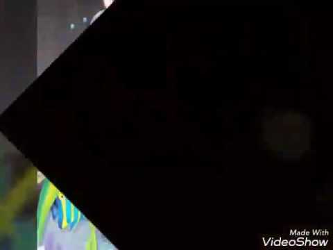 Video hot purwakarta ceria istimewa