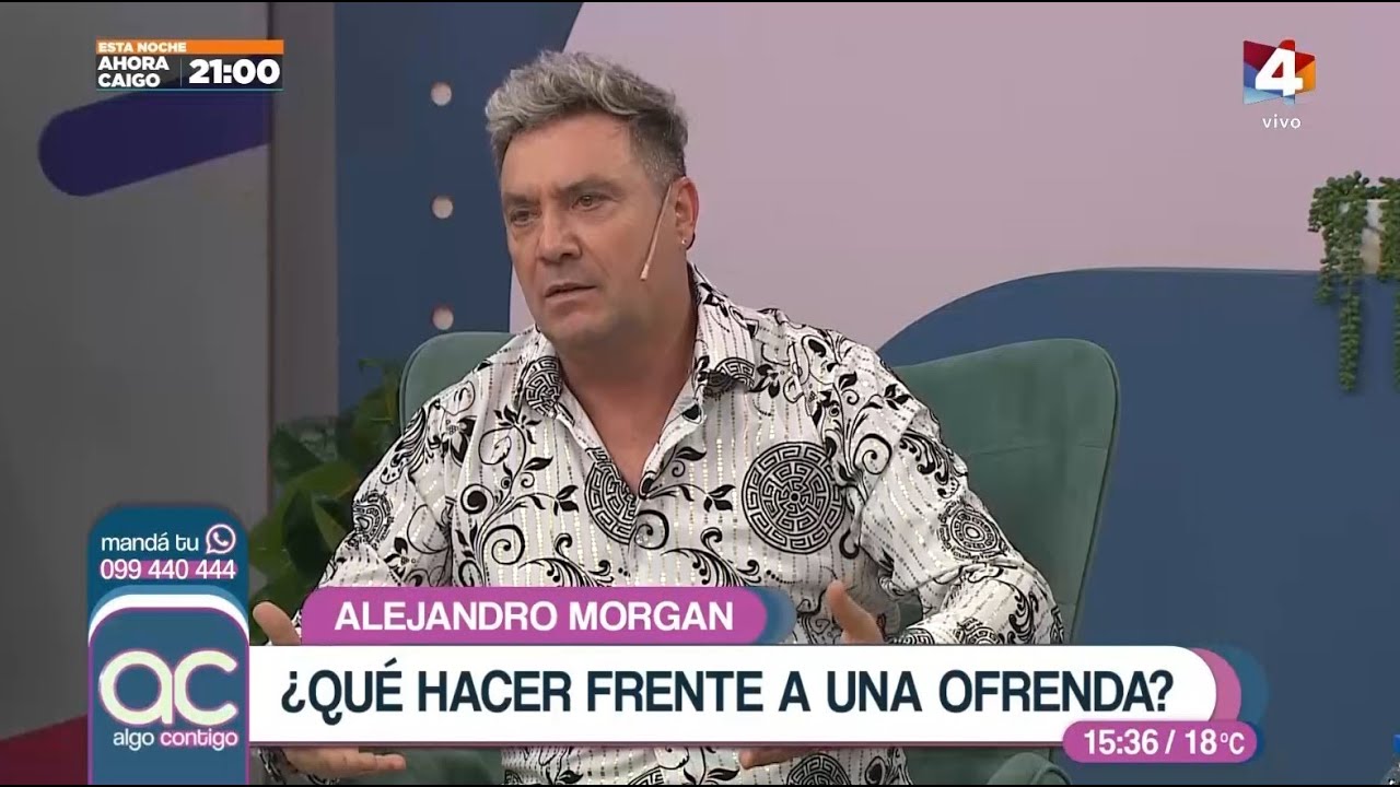 Algo Contigo - Alejandro Morgan, el parapsicólogo de los famosos - YouTube