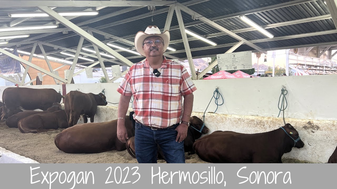 EXPOGAN 2023 HERMOSILLO, SONORA - YouTube