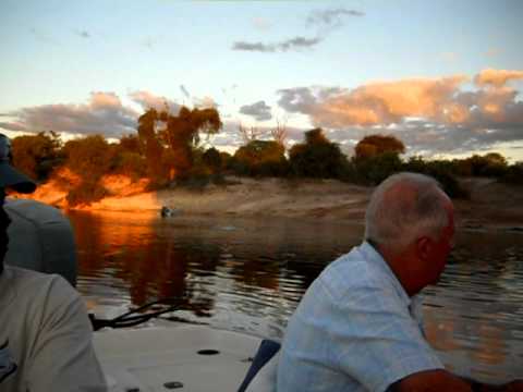 Vayeni wildlife experiences in Chobe, Botswana