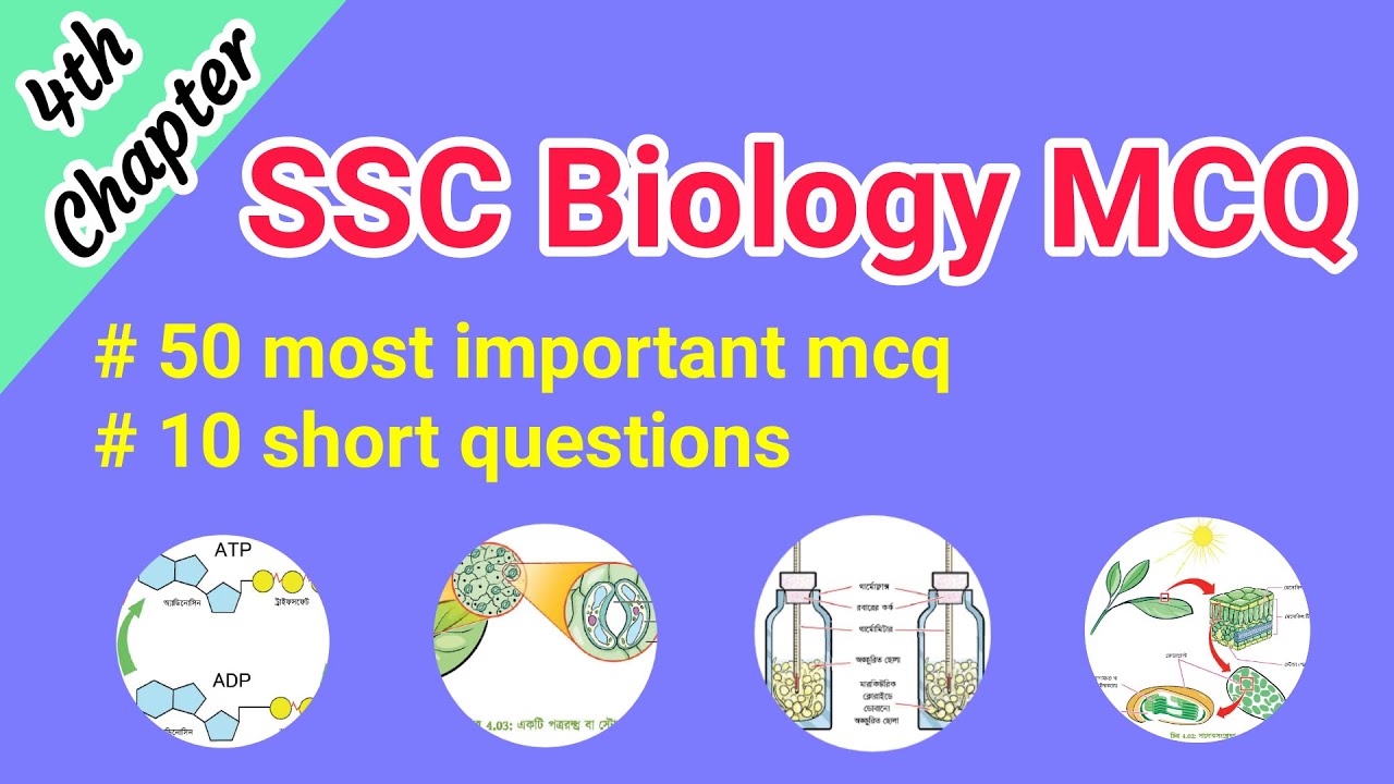 SSC Biology Chapter 4 MCQ Question || জীবনীশক্তি || Class 10 Biology ...