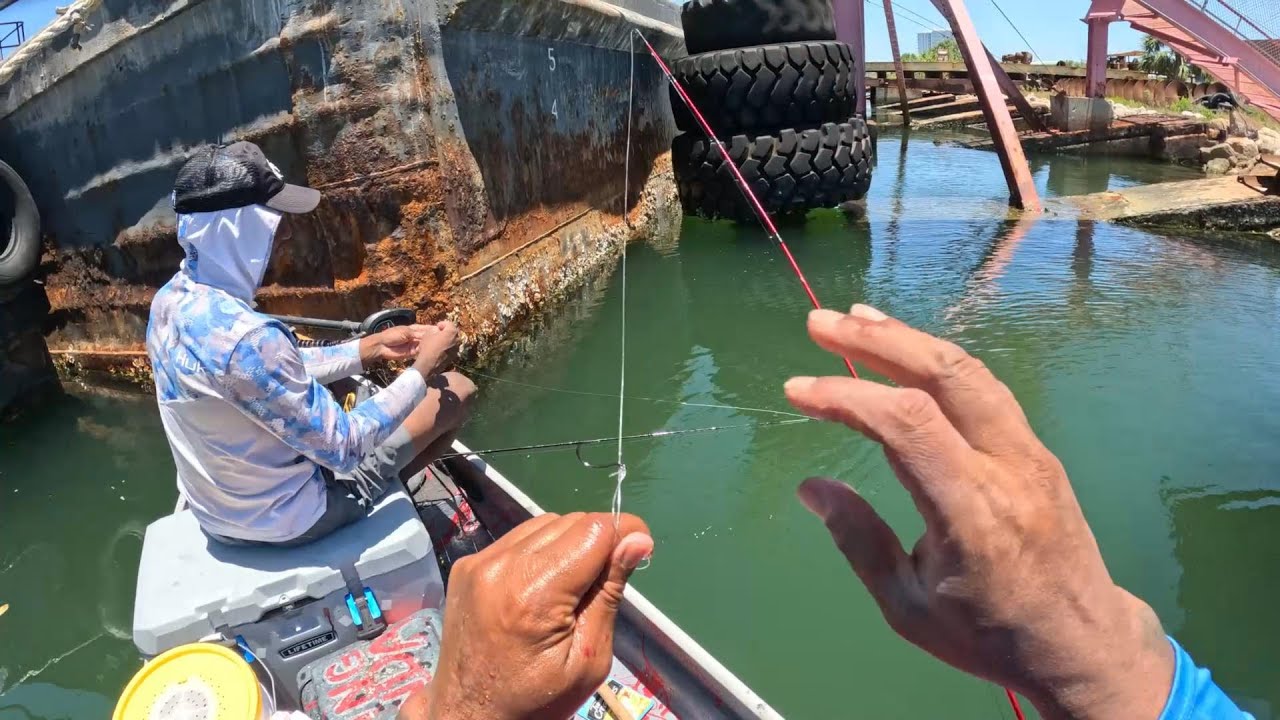Looking for Tampa Bay snapper under tug boats - YouTube