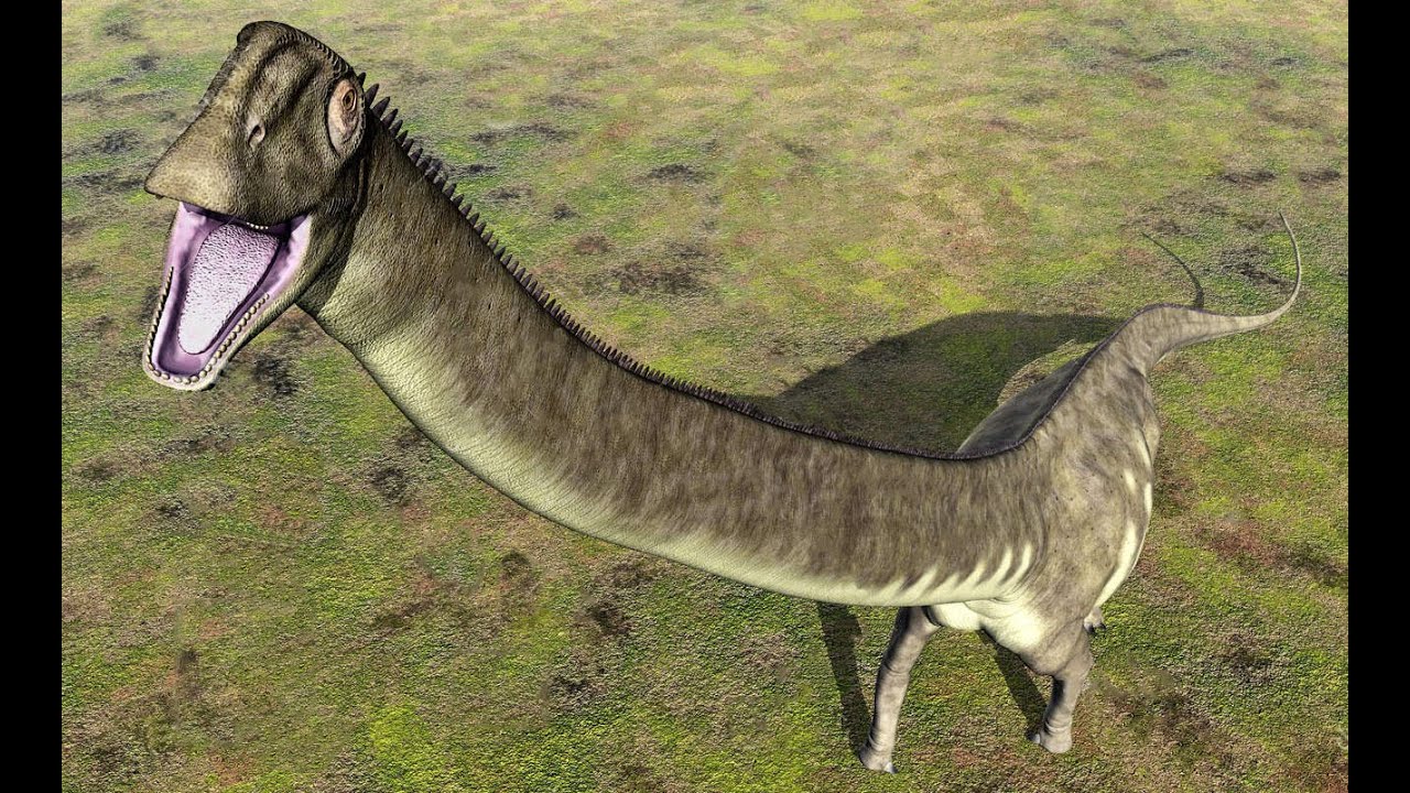ТОП-5 САМЫЕ БОЛЬШИЕ ДИНОЗАВРЫ ПЛАНЕТЫ - ЗАУРОПОДЫ - YouTube