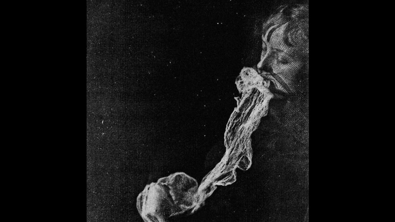 Faceless Entity (Netherlands) - The Great Anguish of Rapture (Full ...