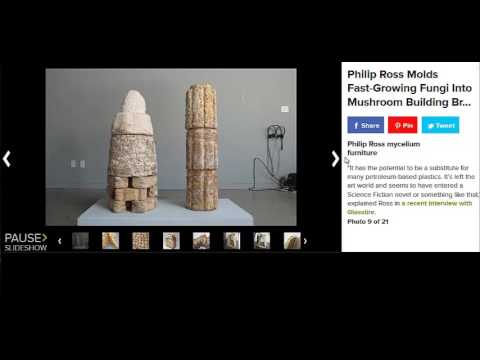Mushroom Bricks Are As Strong As Concrete - YouTube