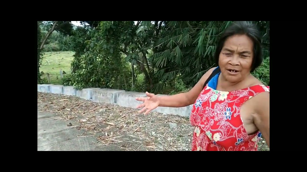 MAGANDA TALAGA PAG MAY SARILING LUPA KA| BALAMBAN CEBU - YouTube