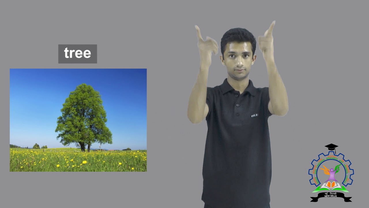 tree (sign 1) - YouTube