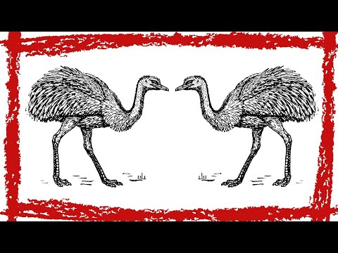 5 Minutes Common Ostrich Sound | Common Ostrich Call | Common Ostrich Noise